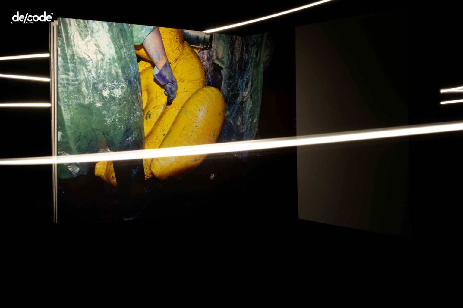 ONLY HUMAN บนเส้นทางประชาธิปไตย - Decode