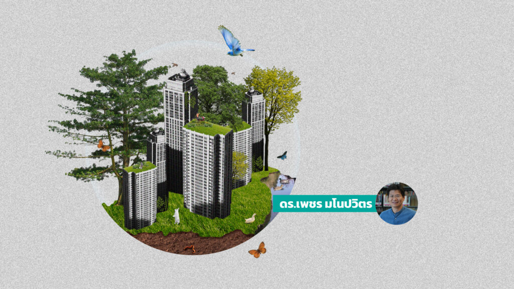 Nature-based Solutions กลยุทธ์พลิกฟื้นโลก - Decode