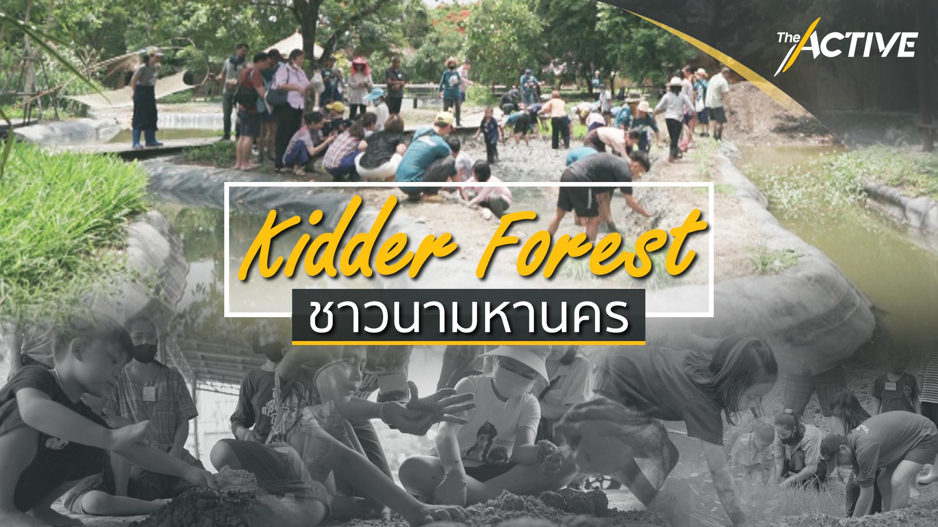 Kidder Forest ชาวนามหานคร | The Active
