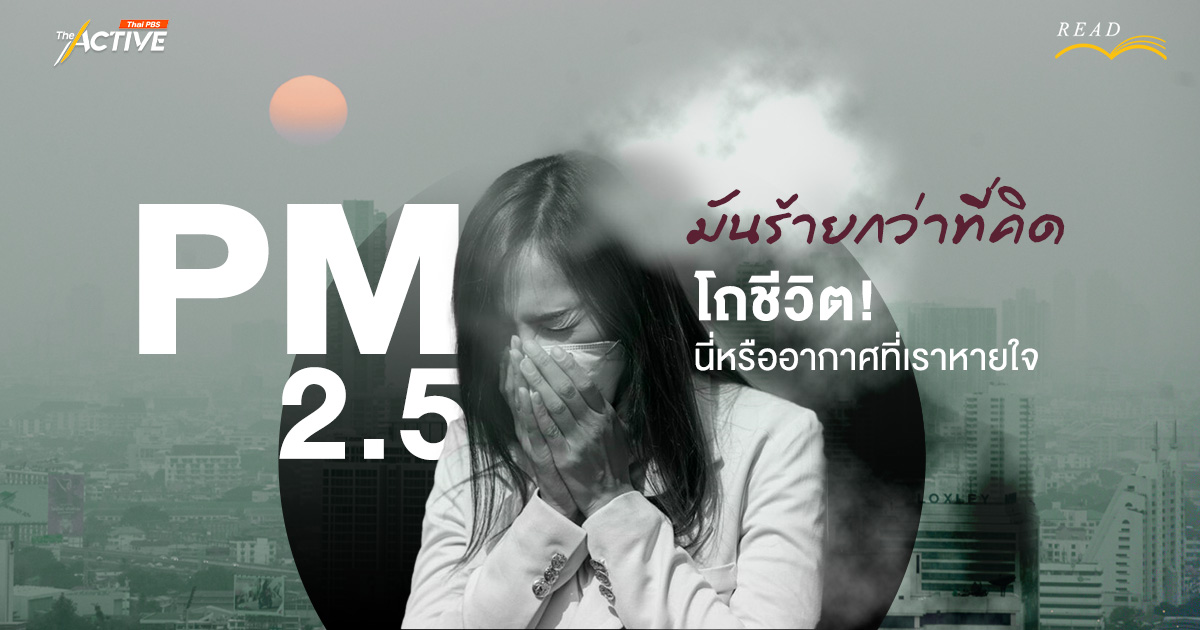 PM2.5 มันร้ายกว่าที่คิด... โถชีวิต! นี่หรืออากาศที่เราหายใจ | The Active